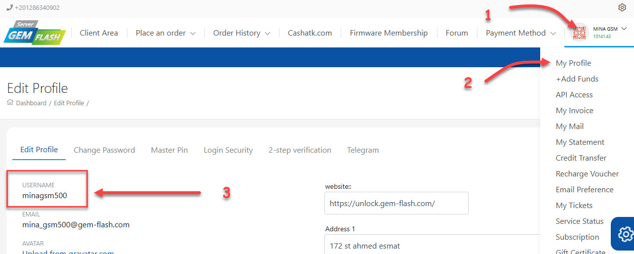 الآن يمكنك الإيداع أوتوماتيك عبر إنستاباي على حسابك بسيرفر GEM-FLASH ...