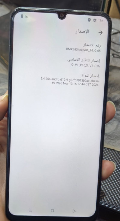 حل مشكلة RMX3834 fix Your device is croupted & fix camera - الصفحة 1